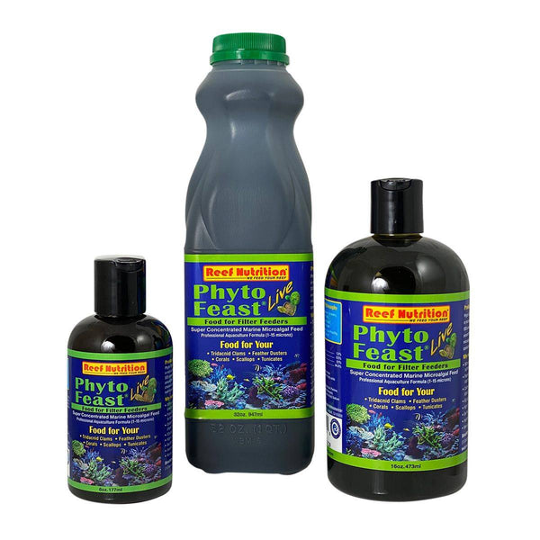 Buy Phyto Feast Online | Coral Food for Sale - Vivid Aquariums